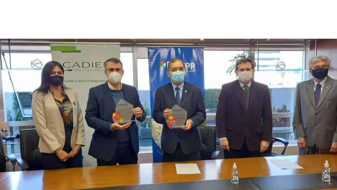 Exitosa emisión y colocación de Bonos de Bancop S.A - CADIEM Casa de Bolsa